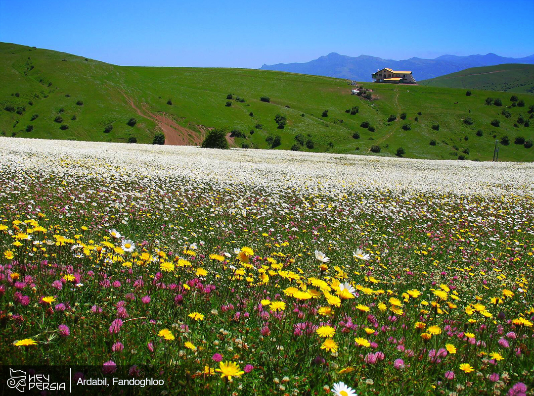Fascinating parks and forests of Ardabil - HEY PERSIA