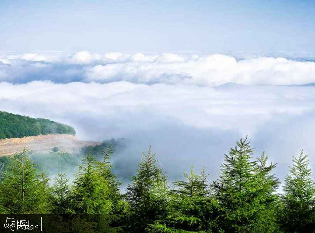 Shahrood Cloud Forest in Iran - HEY PERSIA