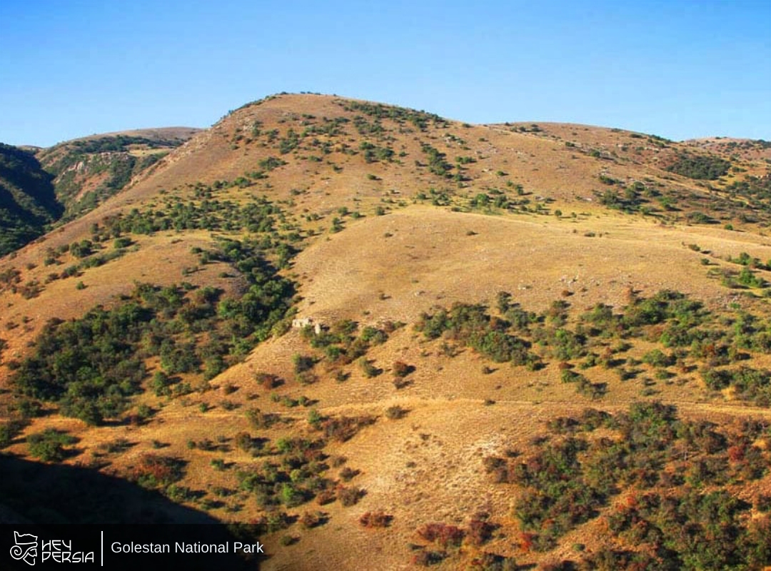 Golestan National Park, Iran’s Oldest National Park - HEY PERSIA